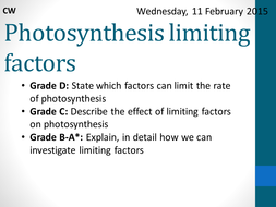GCSE Limiting Factors | Teaching Resources