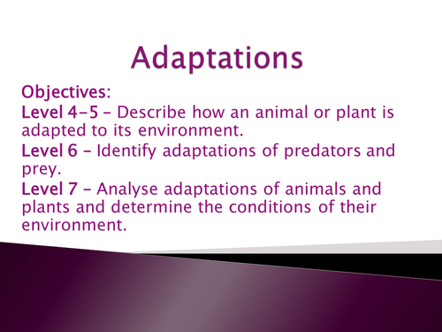 KS3 Adaptations | Teaching Resources