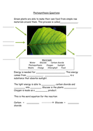 KS3 Rate of Photosynthesis | Teaching Resources