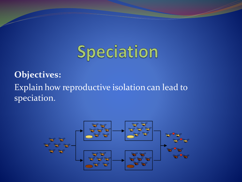 SNAB A2 Biology Speciation | Teaching Resources