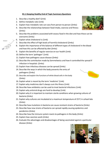Gcse B1 1 Keeping Healthy End Of Topic Revision Teaching Resources