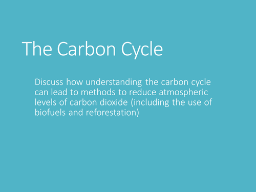 SNAB A2 Biology The Carbon Cycle | Teaching Resources