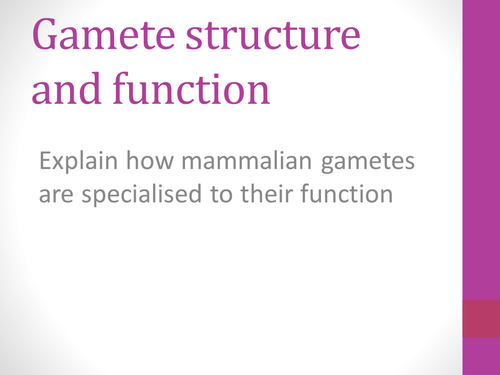 SNAB AS Biology Gamete Structure and Function | Teaching Resources