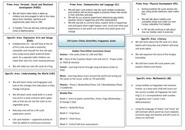 Life Cycles for EYFS - Chicks, Beans, Frogs | Teaching Resources