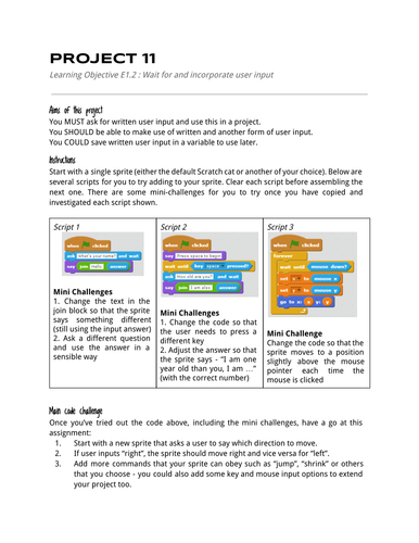Code Lesson E1-2 Introduction to User Input | Teaching Resources