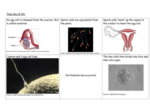 7.3 Reproduction SoW | Teaching Resources