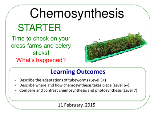 Year 7: Chemosynthesis (Plants & Ecosystems 7.6) | Teaching Resources