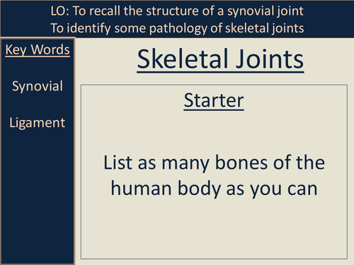 Skeletal Joints | Teaching Resources