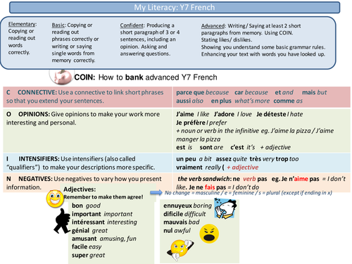 KS3 and 4 French Literacy Mat | Teaching Resources