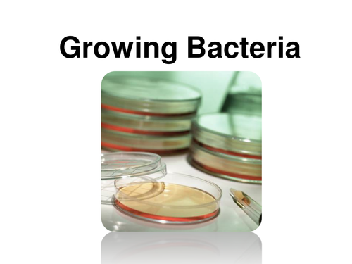 Growing Bacteria | Teaching Resources
