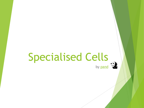 Specialised Cell Adaptations - presentation and worksheets | Teaching ...