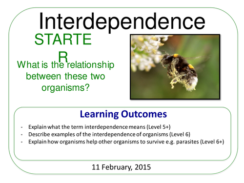 Year 7: Interdependence (Plants & Ecosystems 7.6) | Teaching Resources