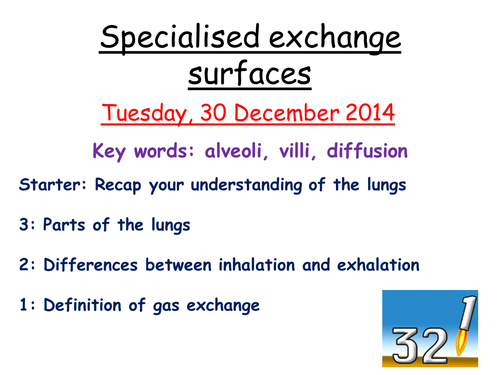 AQA B3 specialised exchange surfaces | Teaching Resources