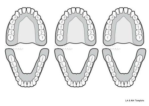 Year 4 Science: Digestion and Teeth | Teaching Resources