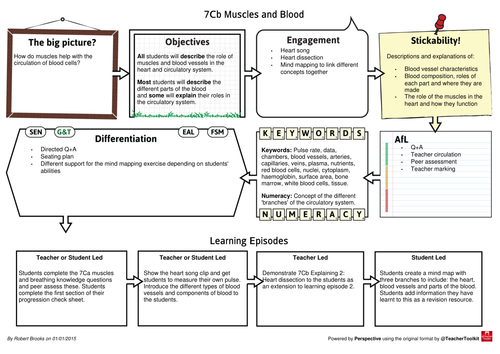New Exploring Science 7C Muscles and Bones Example Lesson Plans ...