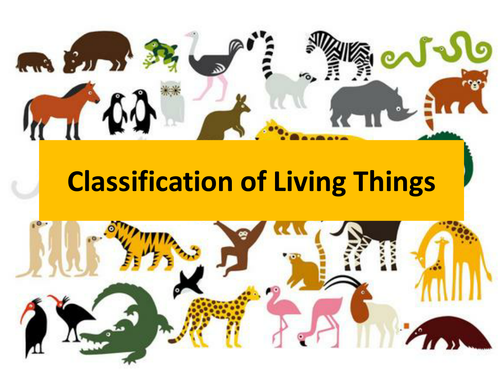 KS2 Classification of Living Things | Teaching Resources