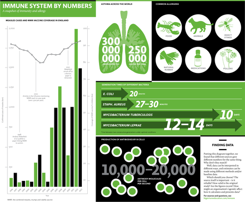 Big Picture: Immune System Infographic | Teaching Resources