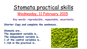 Stomata ISA practice investigation | Teaching Resources