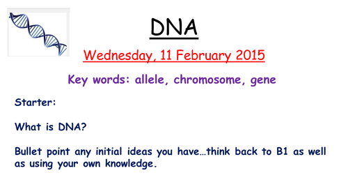 Introduction to DNA | Teaching Resources