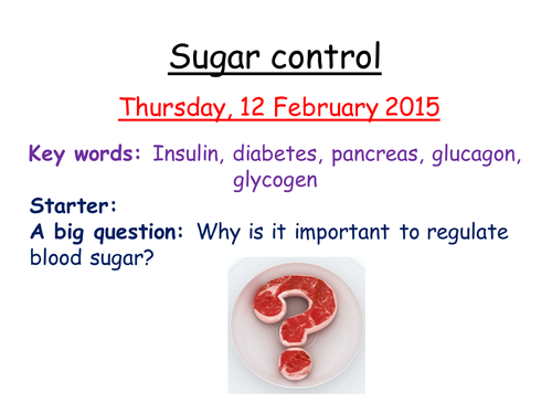 Sugar control- homeostasis | Teaching Resources