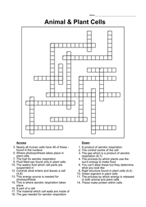 Animal and Plant Cells - Resources - TES