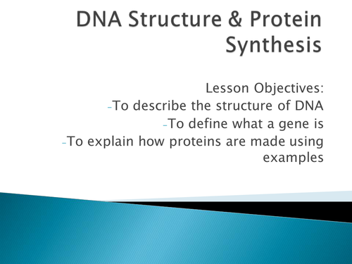 DNA Structure & Protein Synthesis | Teaching Resources
