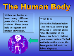 The Body, growing and offspring. Animals and humans | Teaching Resources