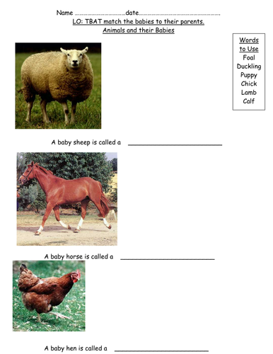 The Body, growing and offspring. Animals and humans | Teaching Resources