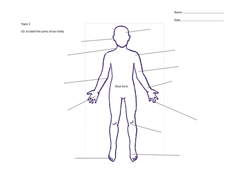 The Body, growing and offspring. Animals and humans | Teaching Resources