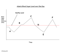 Blood Glucose Control Homeostasis | Teaching Resources