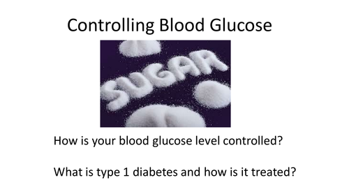 Blood Glucose Control Homeostasis | Teaching Resources