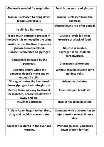Blood Glucose Control Homeostasis | Teaching Resources