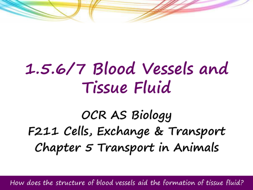 OCR AS Level Biology - Transport in Animals | Teaching Resources