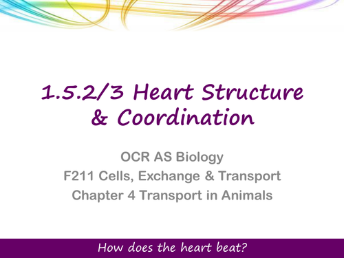 OCR AS Level Biology - Transport in Animals | Teaching Resources