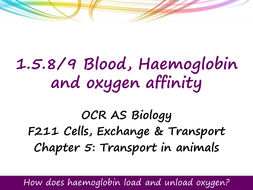 OCR AS Level Biology - Transport in Animals | Teaching Resources