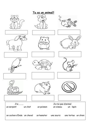 Acces Studio Unit 8 Tu as un animal? | Teaching Resources