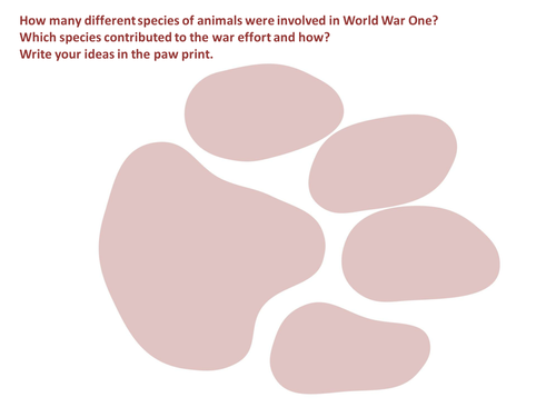 Animals in WWI (history unit of work) | Teaching Resources