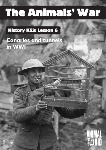 Animals in WWI (history unit of work) | Teaching Resources