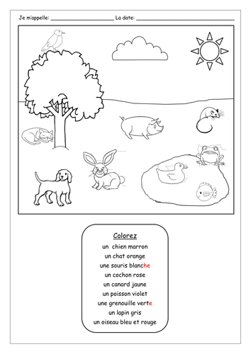 FRENCH - Animals - Les Animaux - Activity Booklet - Worksheets ...