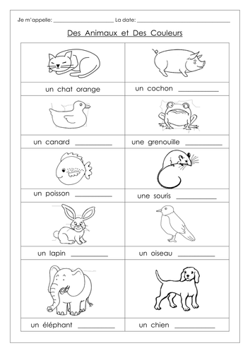 FRENCH - Animals - Les Animaux - Activity Booklet - Worksheets ...