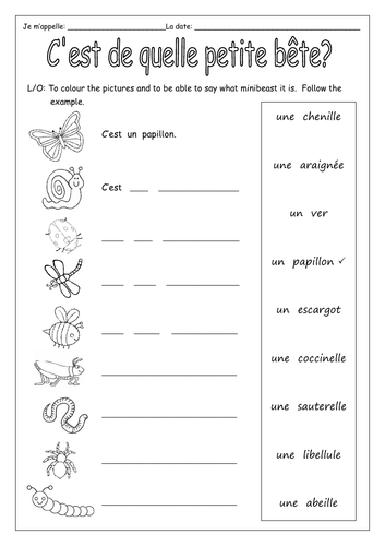 FRENCH - Mini Beasts - Des Petites-Bêtes - Worksheets | Teaching Resources