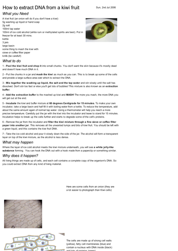 Biology of Extracting DNA from Kiwi Fruit | Teaching Resources