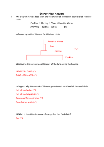 Biology: Energy Flow | Teaching Resources