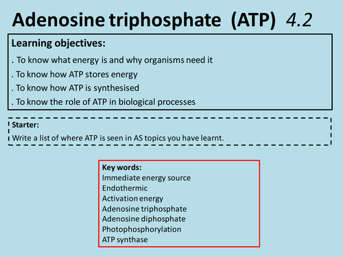 AQA A2 Biology ATP Lesson and Assessment | Teaching Resources