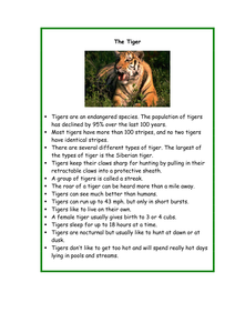 Rumble in the Jungle Resource Pack by bestprimaryteachingresources - UK ...