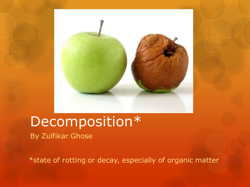 Decomposition | Teaching Resources