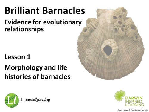 Brilliant Barnacles - Darwin Inspired Learning | Teaching Resources