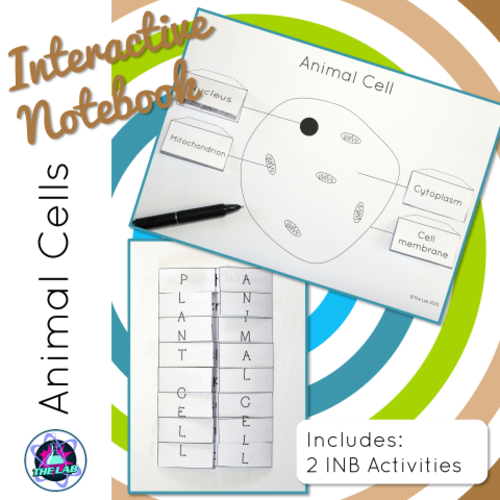 Biology Interactive Notebook Bundle | Teaching Resources