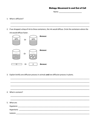 Movement In and Out of Cell Exam | Teaching Resources