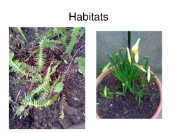HABITATS | Teaching Resources